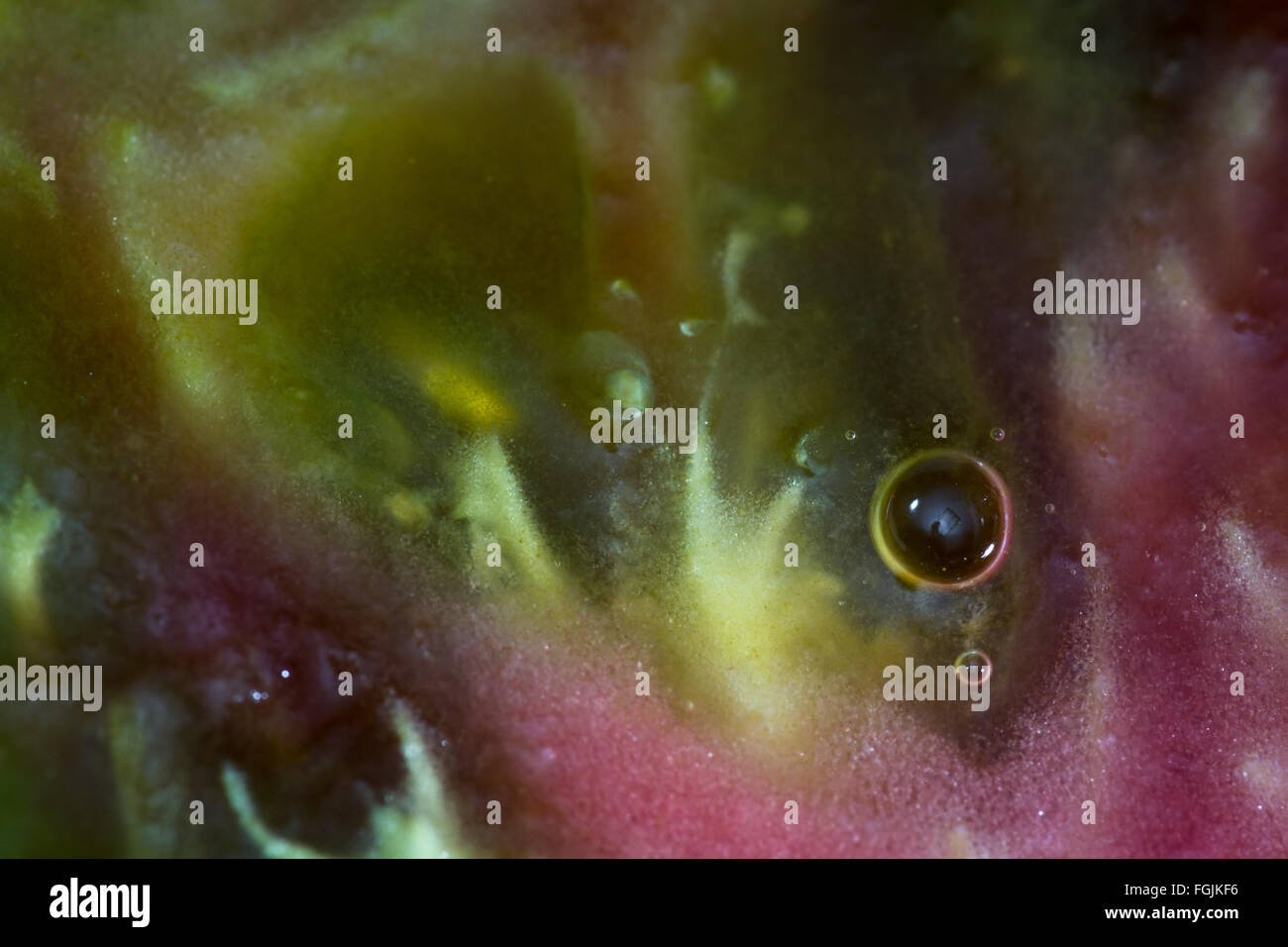 Slimy texture hi-res stock photography and images - Alamy