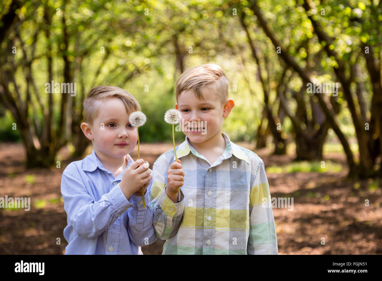 Brother brothers sibling siblings family families hi-res stock ...