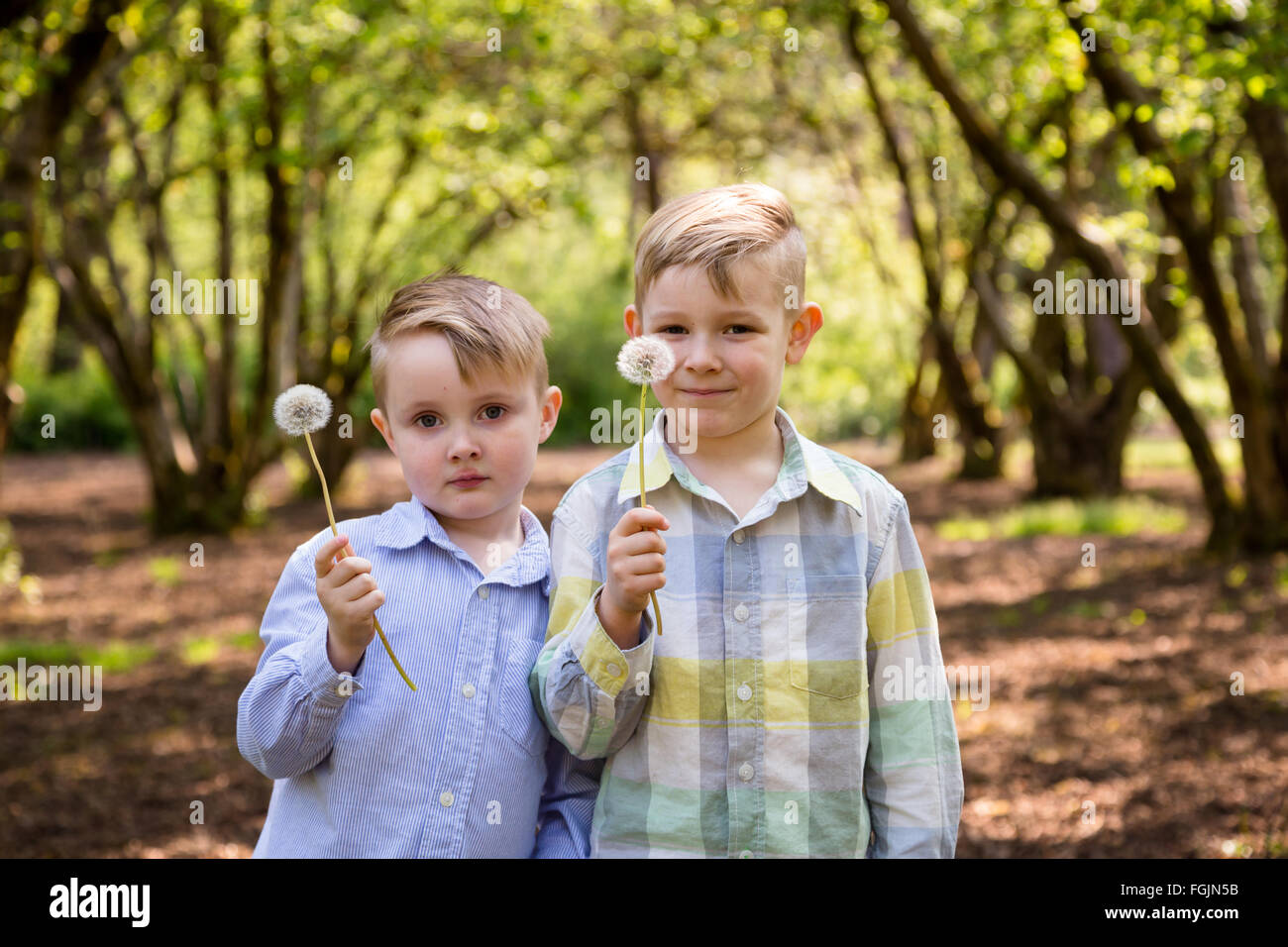 Two brothers together outdoors in a lifestyle portrait with natural ...