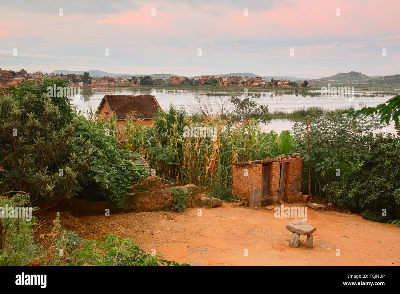 Rice drying hi-res stock photography and images - Alamy