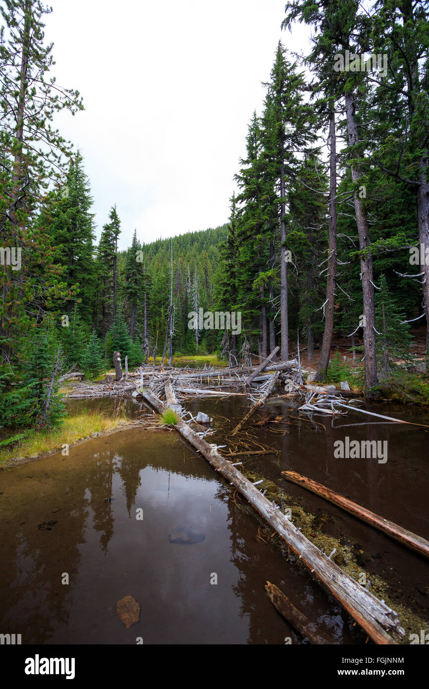 Cascade lake hi-res stock photography and images - Alamy