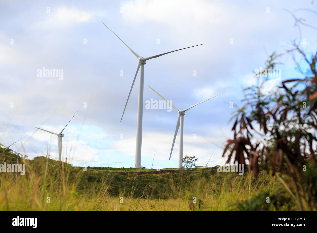 Tropical wind turbines hi-res stock photography and images - Alamy