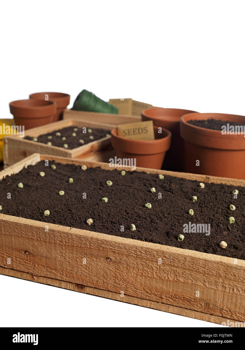 Potting tray hi-res stock photography and images - Alamy