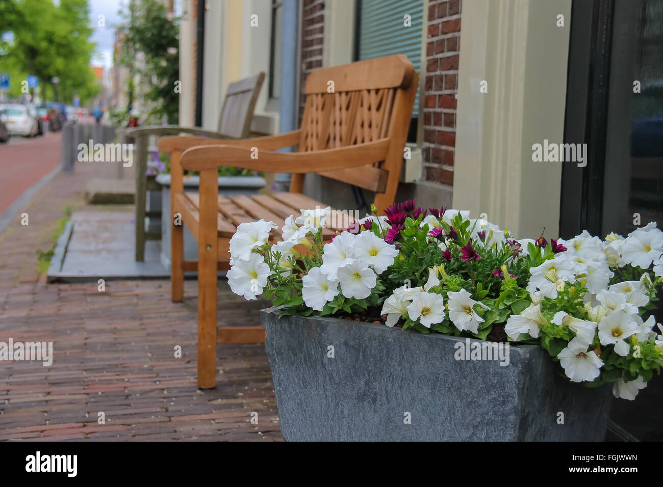 Traditional Dutch wooden benches surrounded by decorative plants on the ...