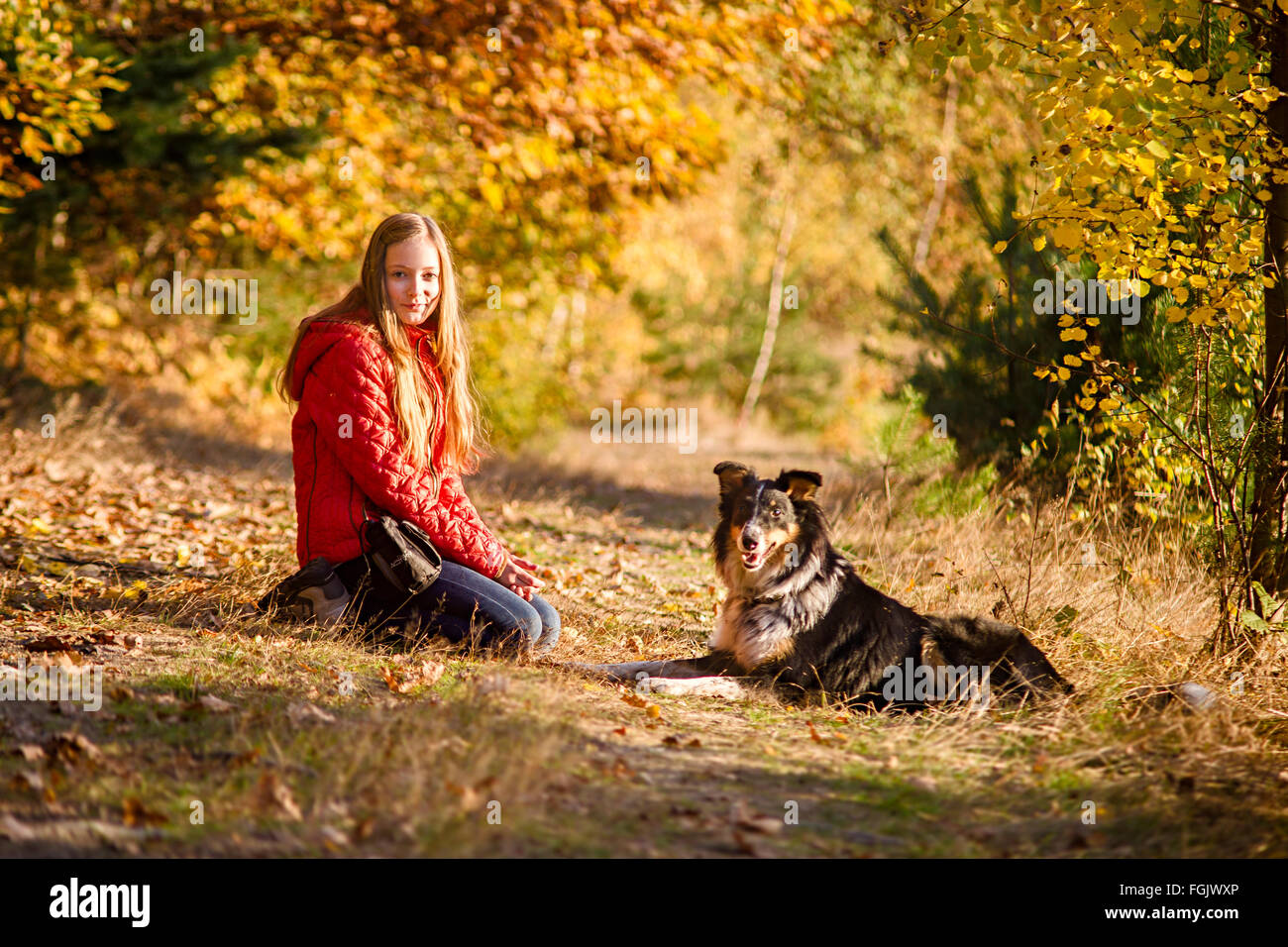 Girl walking dog in autumn Stock Photo - Alamy