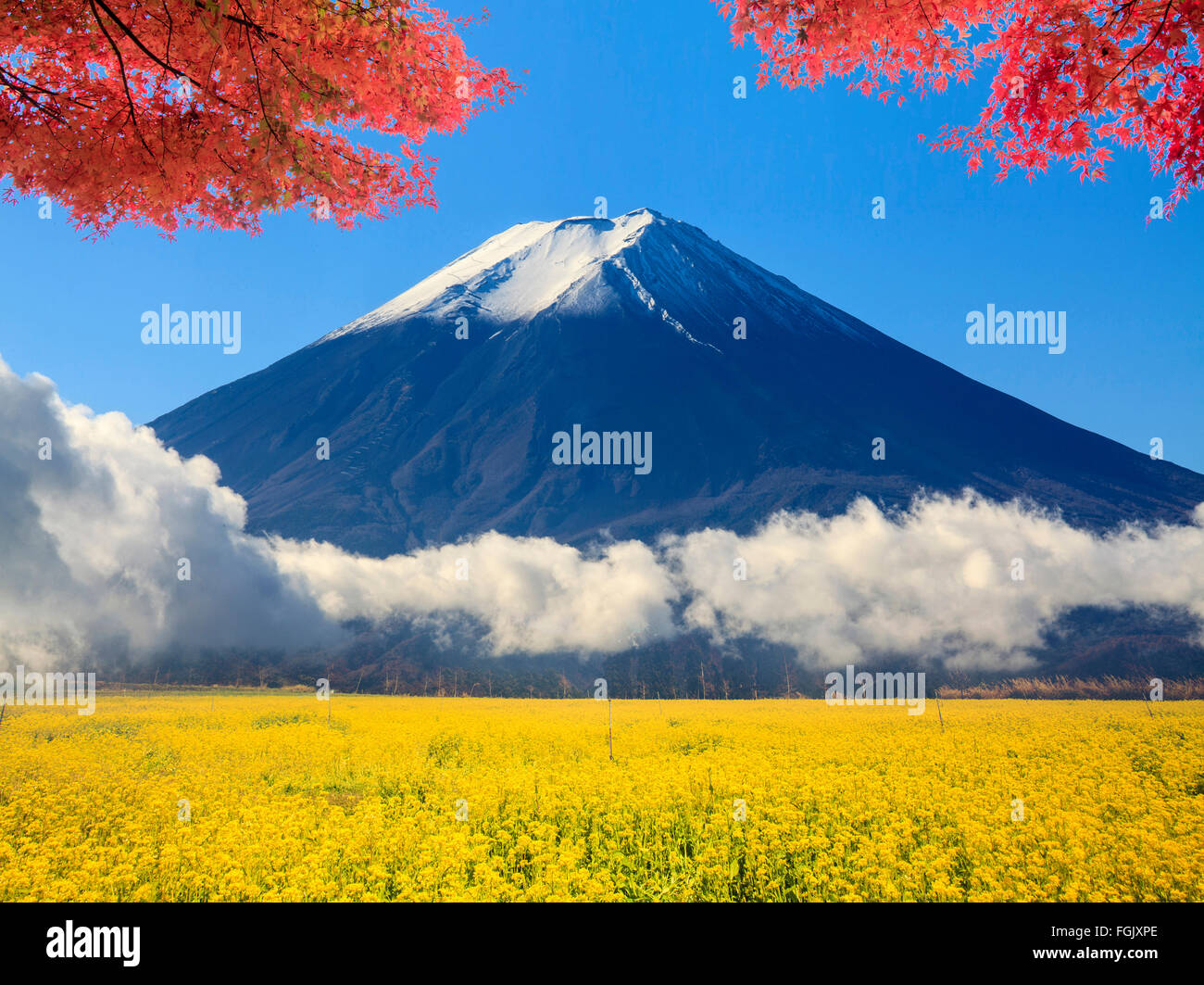 The image of beautiful fuji mountain japan Stock Photo - Alamy