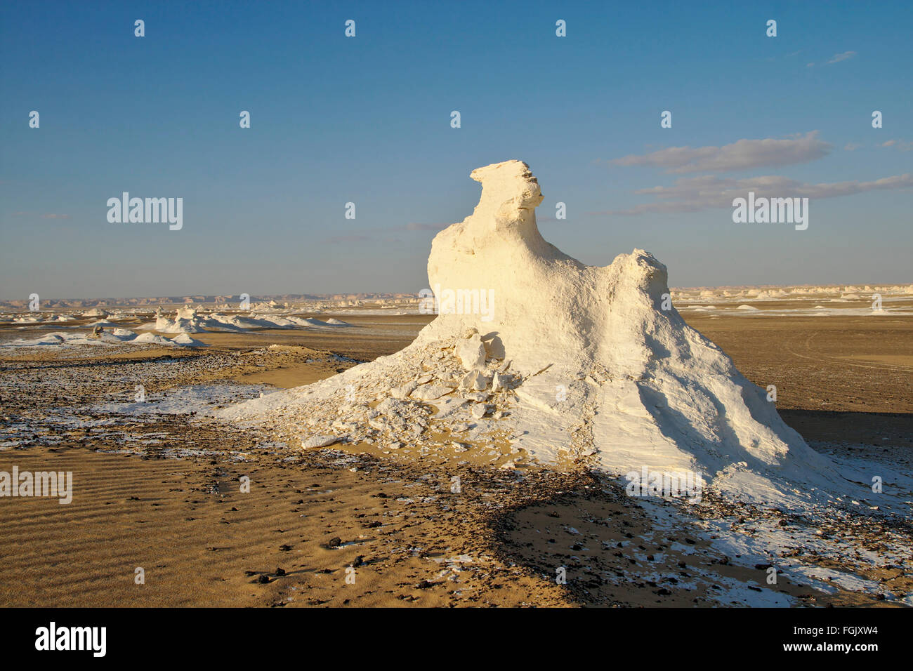Bird shaped rock formation in the White Desert, Egypt (evening light ...