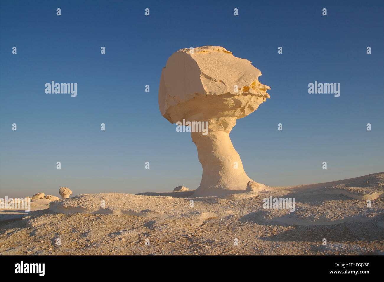 Mushroom shaped rock formation in the White Desert, Egypt ( morning ...