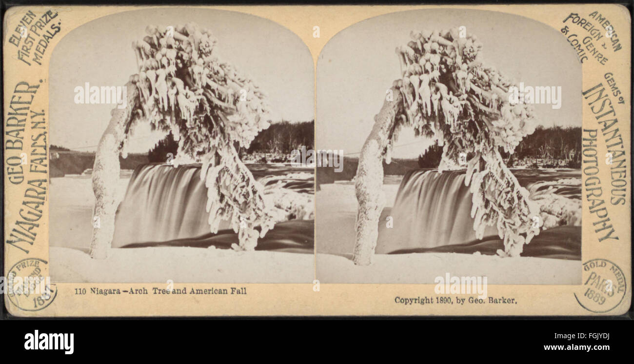 A photograph by George Barker showing Niagara's Arch Tree and American ...