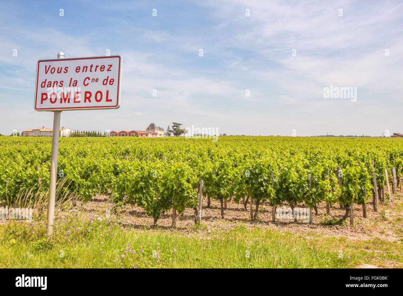 Pomerol vineyard, Bordeaux Stock Photo - Alamy