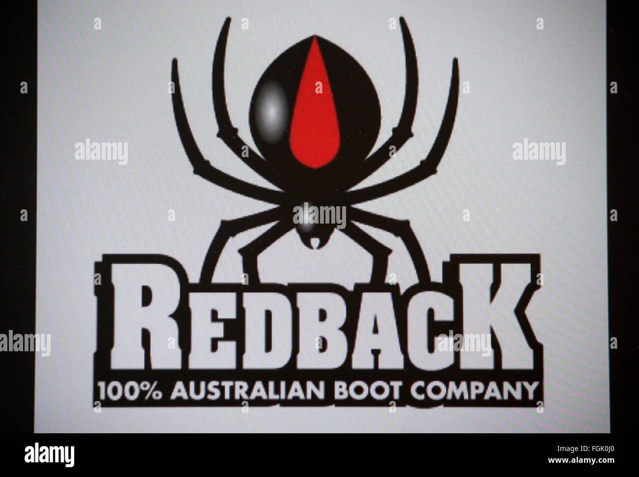 Redback spider hi-res stock photography and images - Alamy