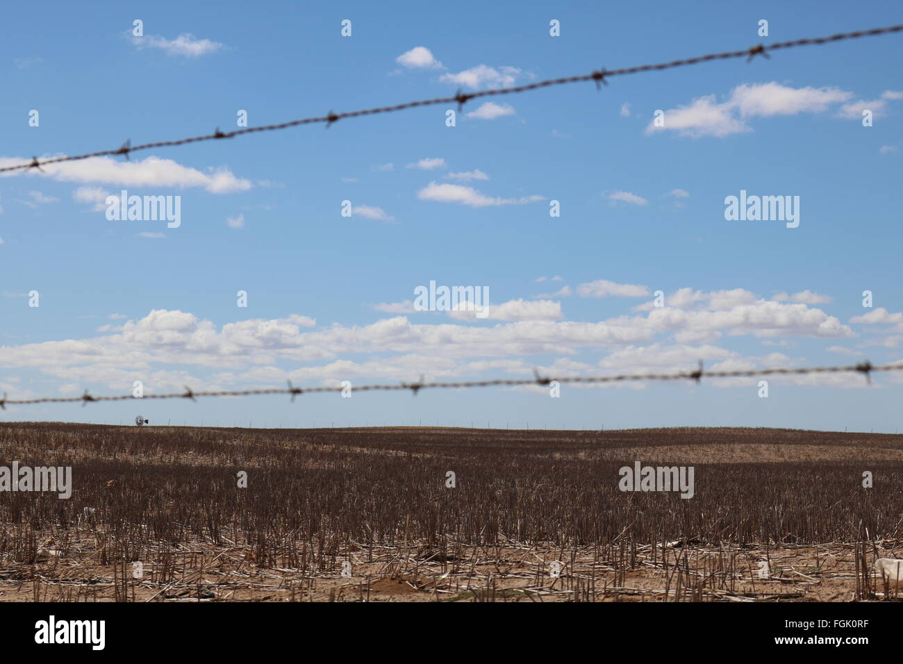 Barbed wire south africa High Resolution Stock Photography and Images ...