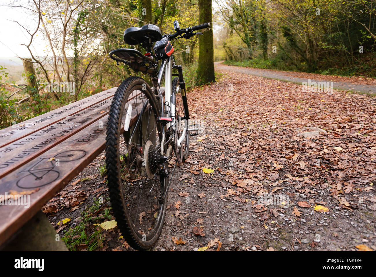 Mountain bike resting against bench on leaf covered track Stock Photo ...