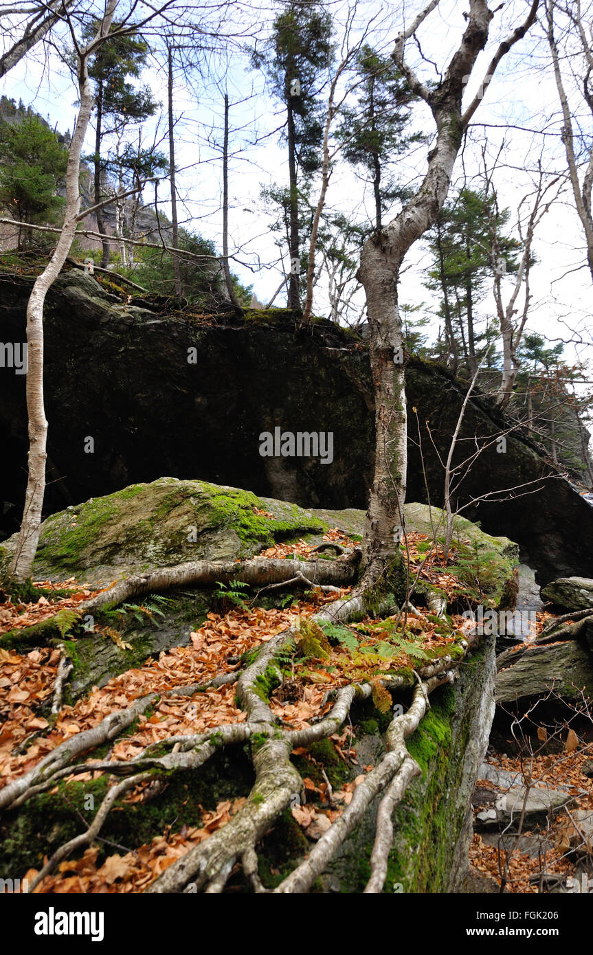 Smugglers' Notch rocks, Vermont, USA Stock Photo - Alamy
