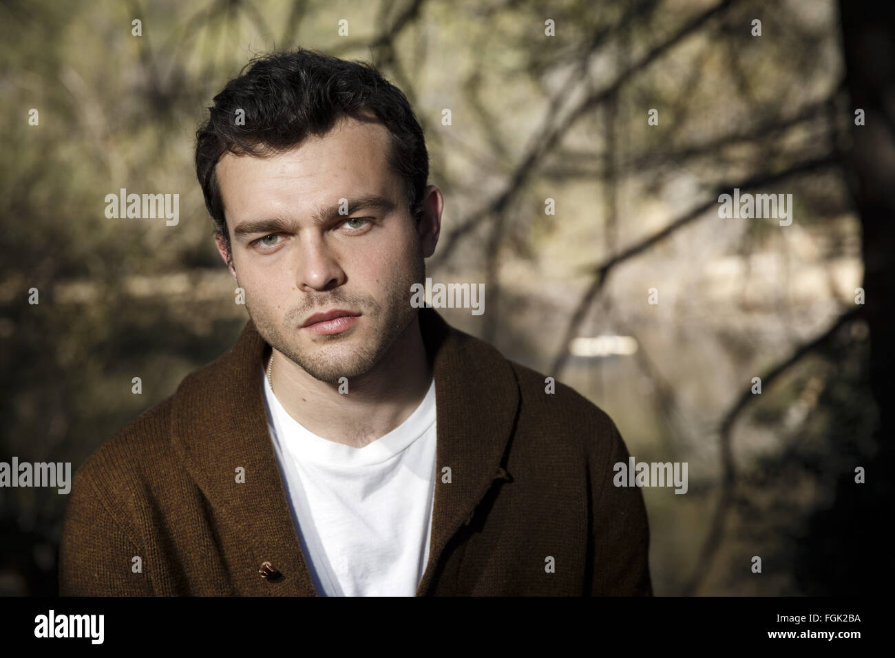 Alden ehrenreich hi-res stock photography and images - Alamy