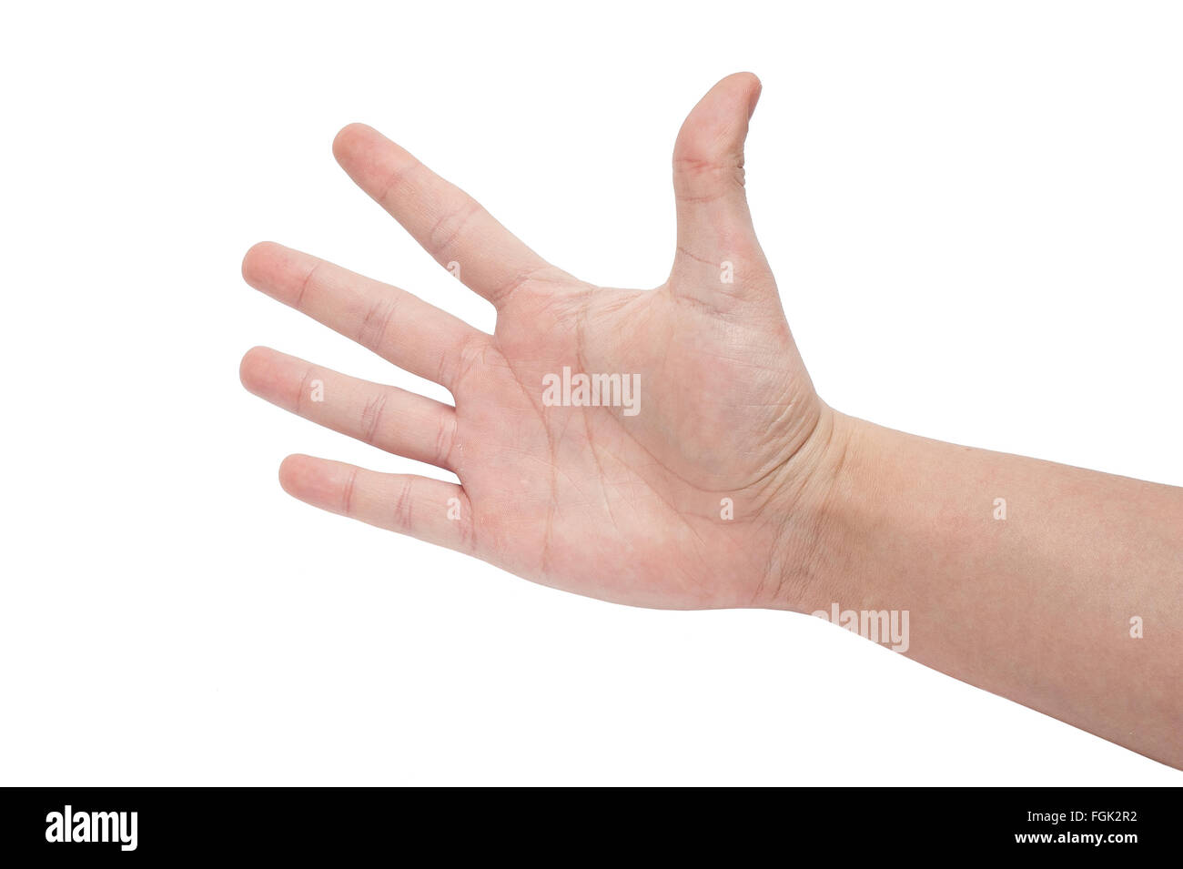 Open right hand showed five fingers isolated on white background Stock ...