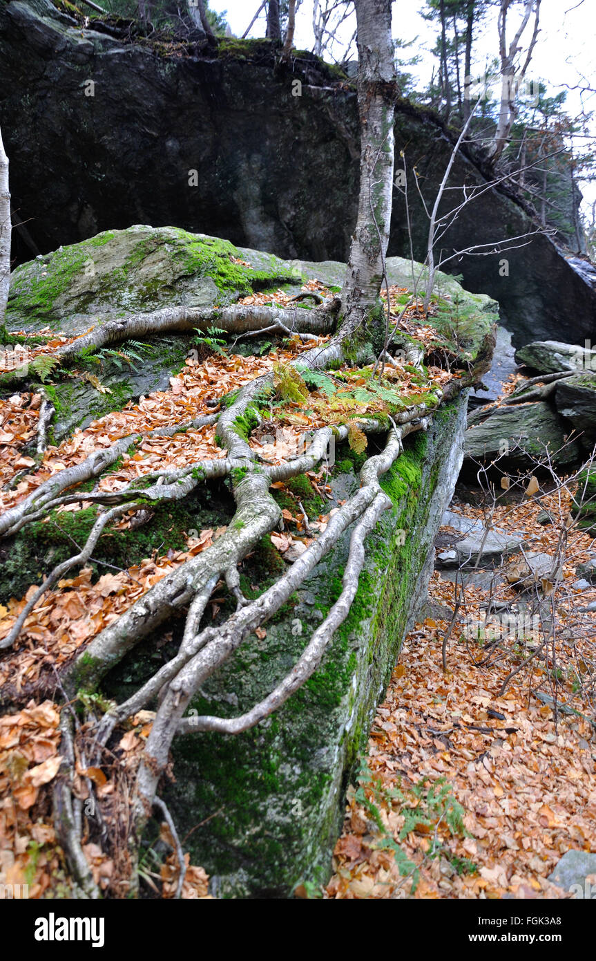 Smugglers' Notch rocks, Vermont, USA Stock Photo - Alamy