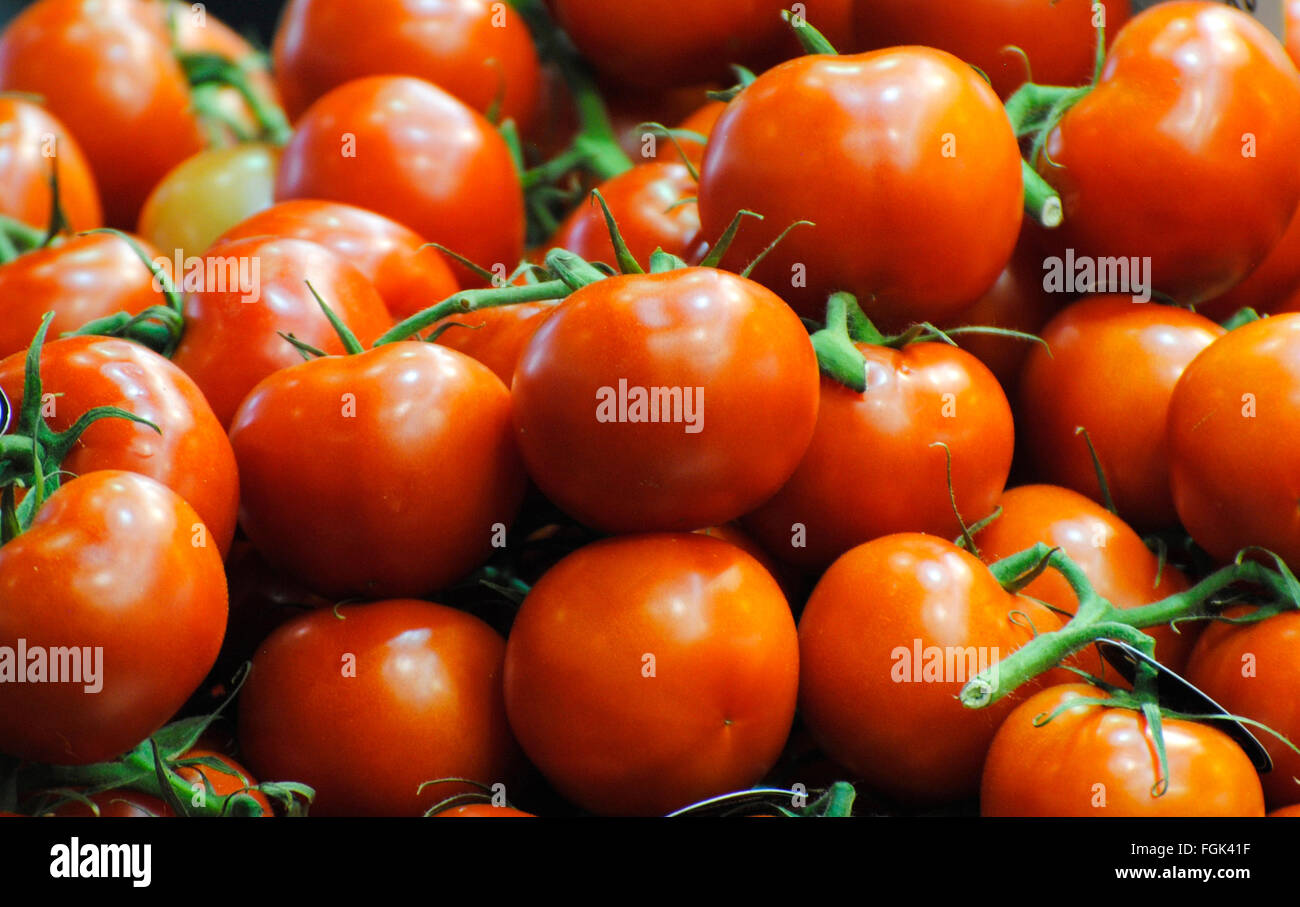 Australian tomatoes hi-res stock photography and images - Alamy