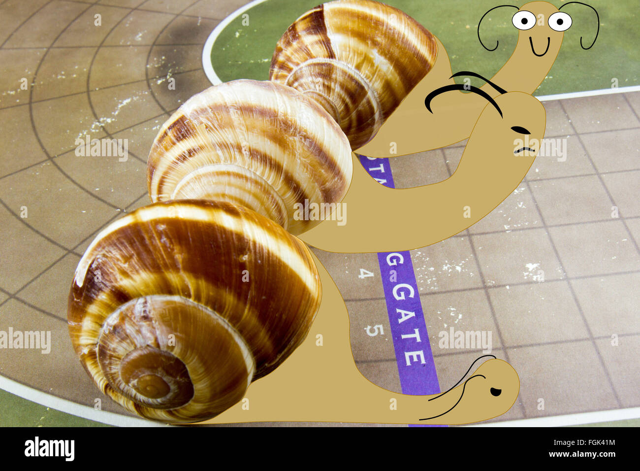 Illustrated snails on race track with real shells at starting gate ...