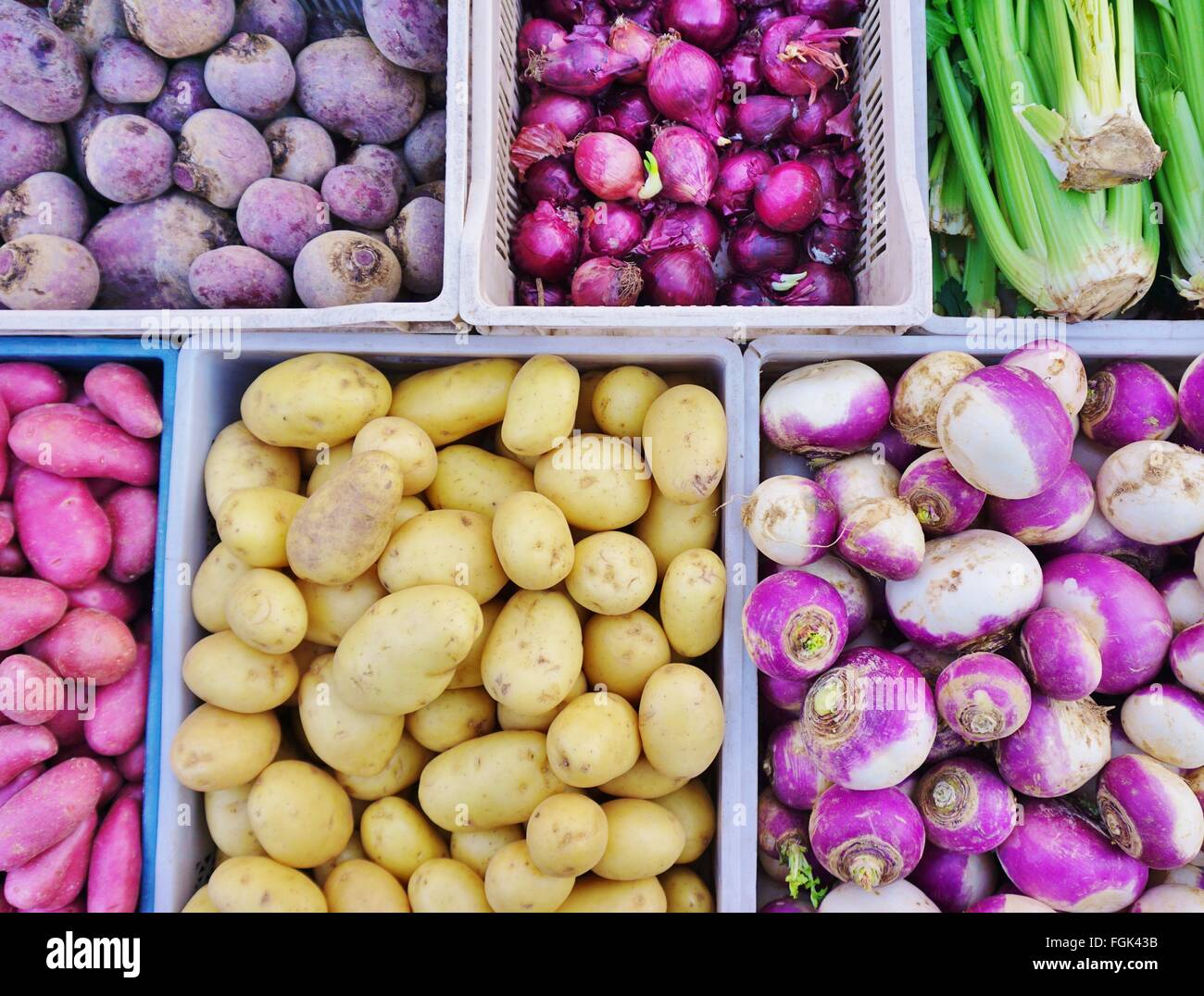 Fresh purple root vegetables at a farmers' market Stock Photo - Alamy