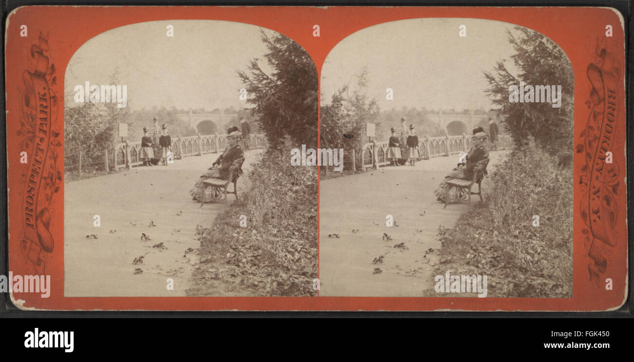 A distant view of Cleft Ridge Span from the Robert N. Dennis collection ...