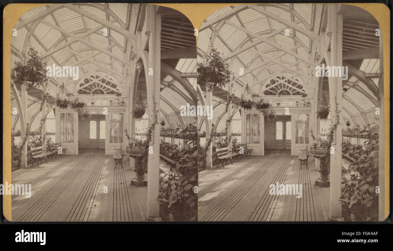 This photograph by L.B. Williams shows the interior of the Conservatory ...