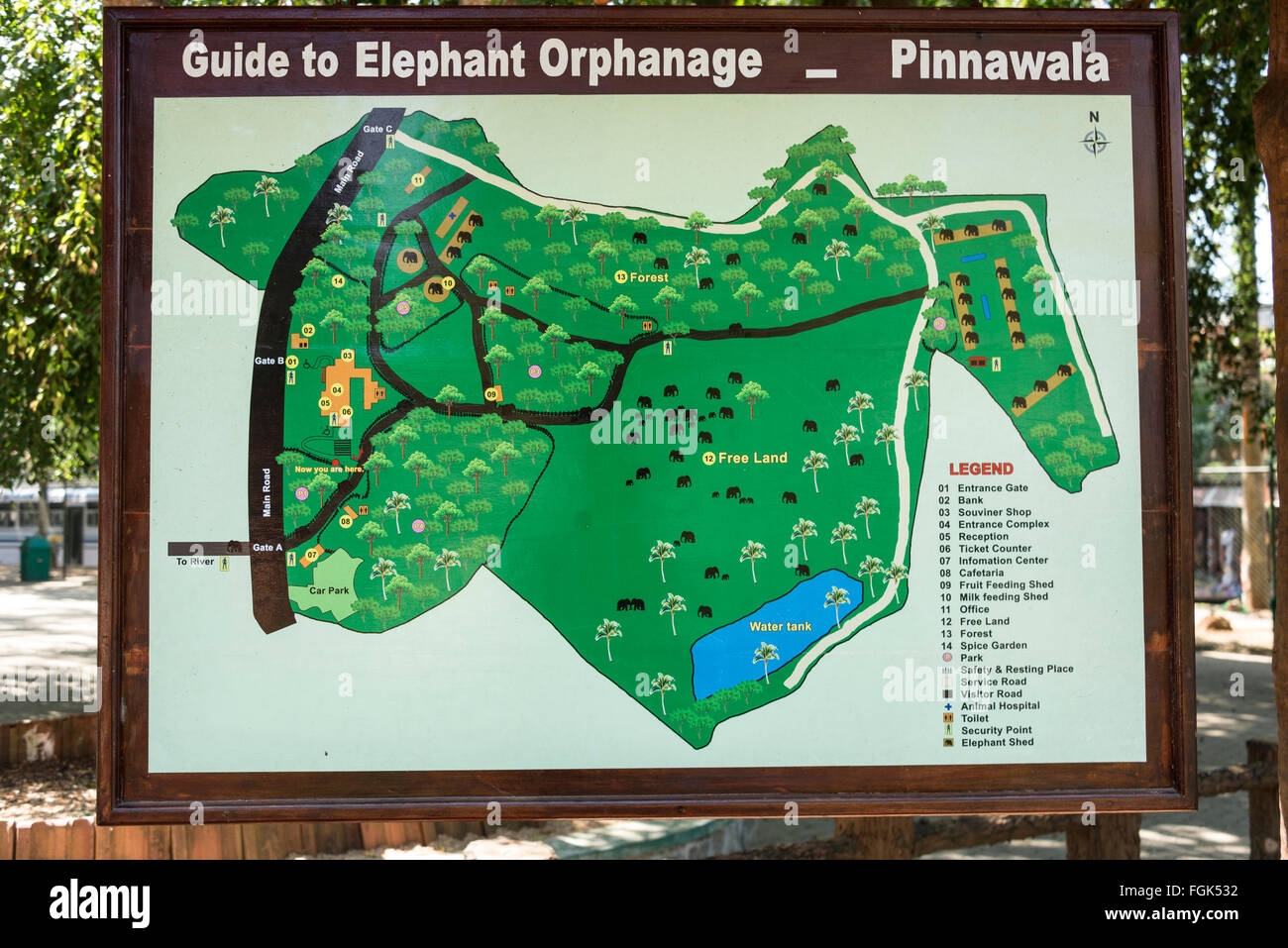 Pinnawala Elephant Orphanage Map Minneriya National Park Safari And