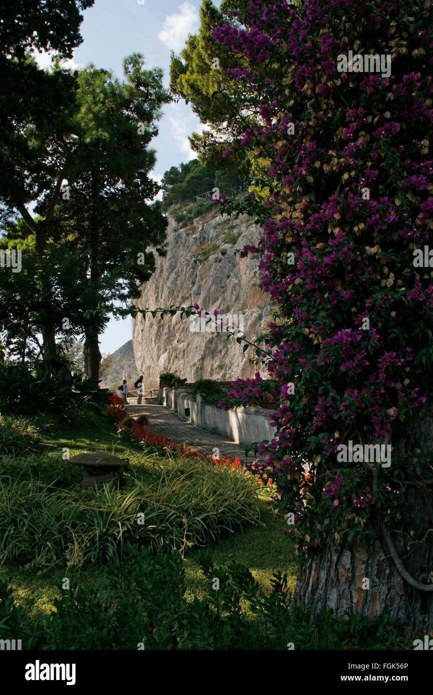 Capri island, famous road on the mountains with flowers Stock Photo - Alamy