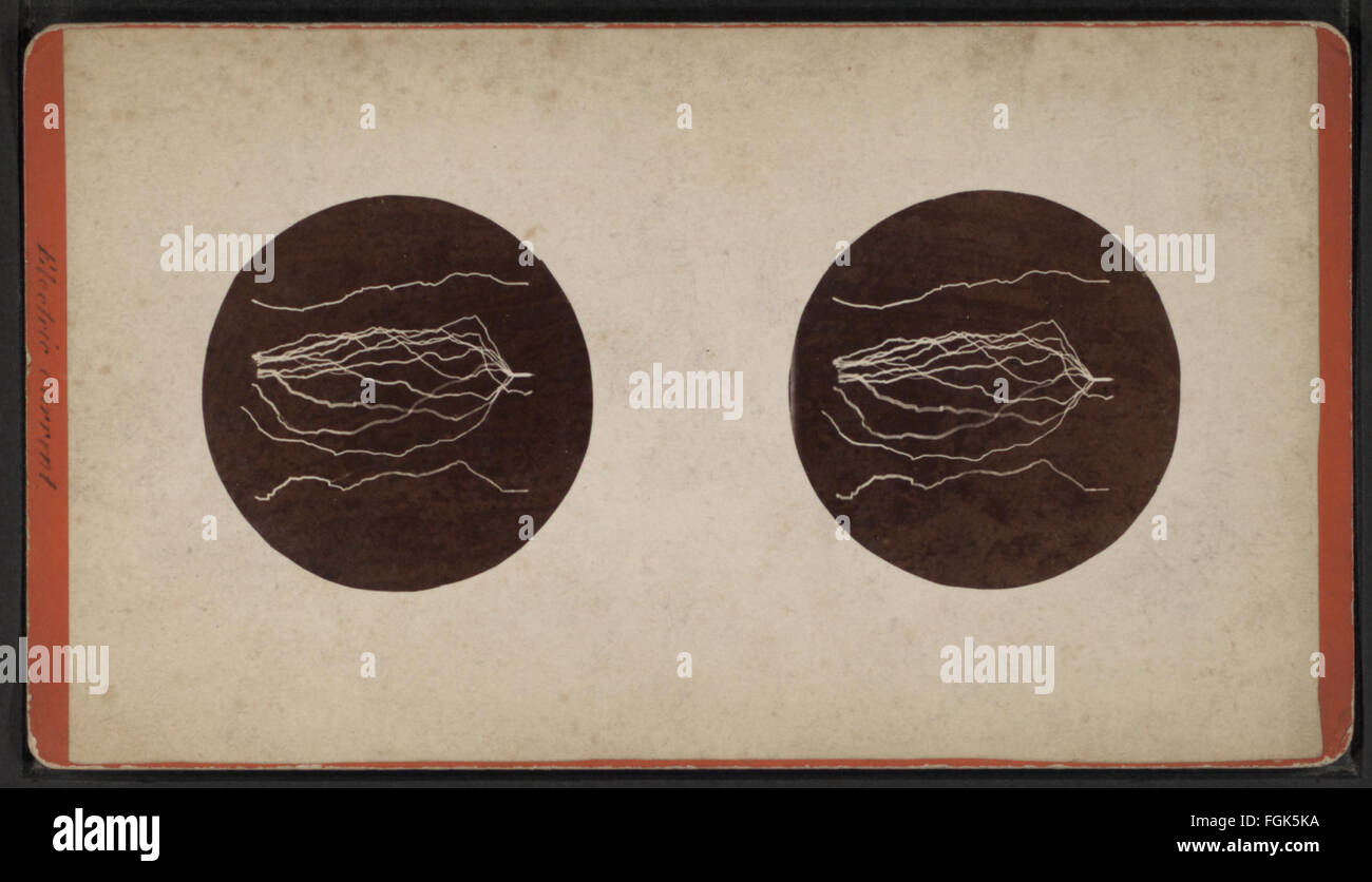 A scientific illustration by Leo Daft demonstrating the flow of ...