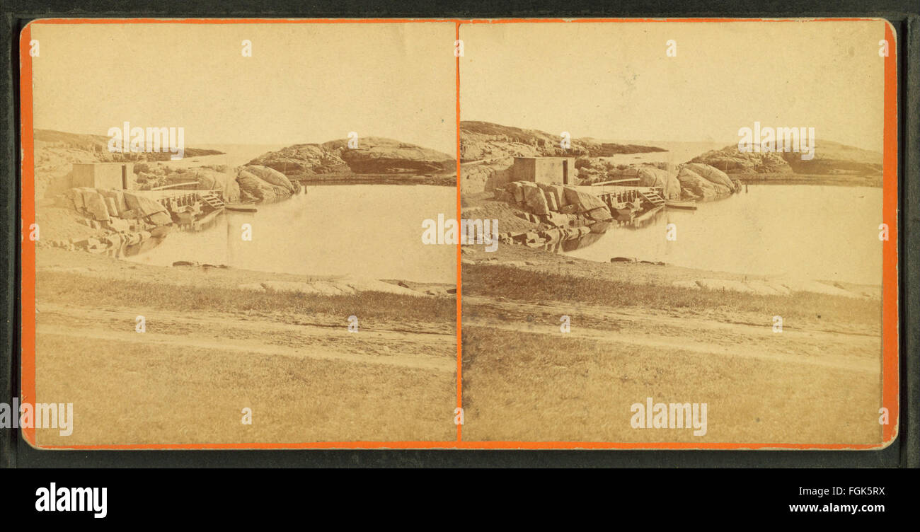 A photograph of Appledore, captured by S. C. Reed. This image depicts ...