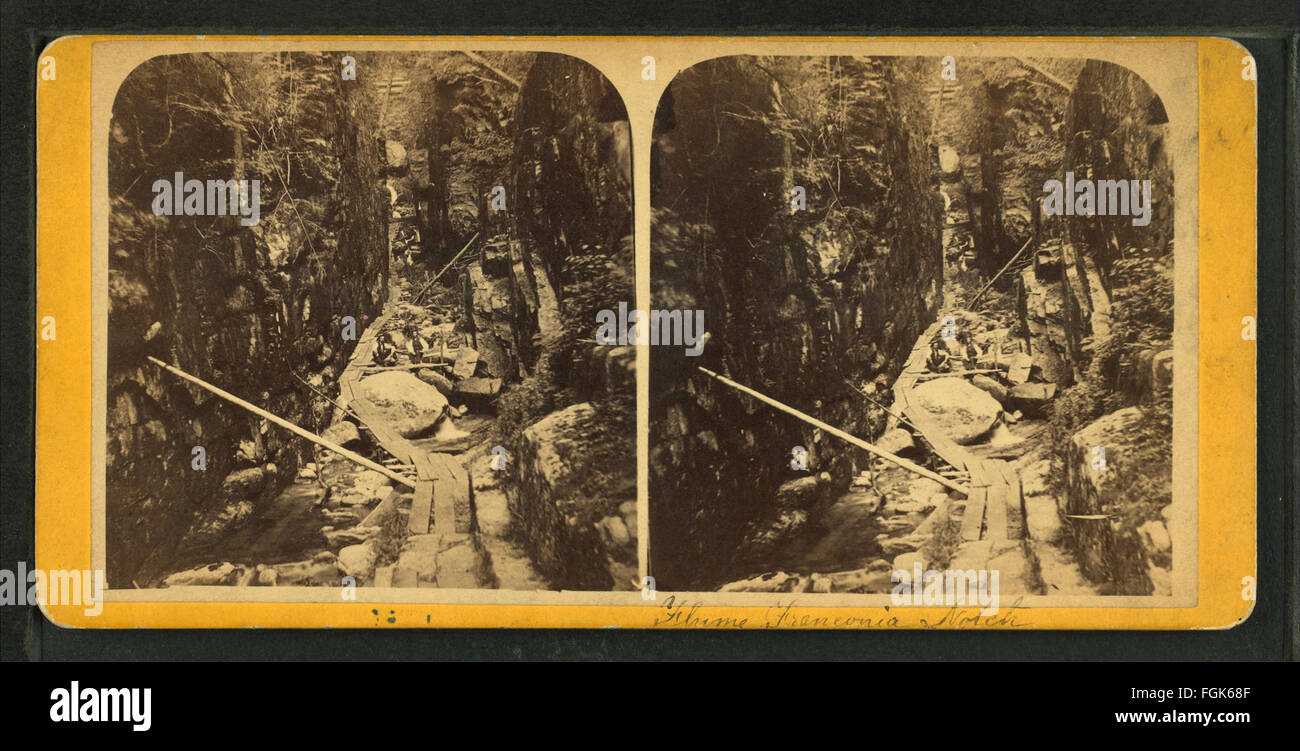 A stereoscopic view of the Flume, a natural gorge located in Franconia ...