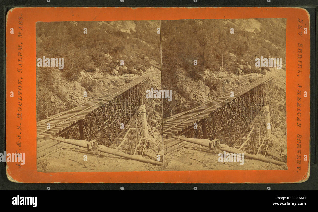 A photograph of the Frankenstein Trestle, taken by J.W. & J.S. Moulton ...