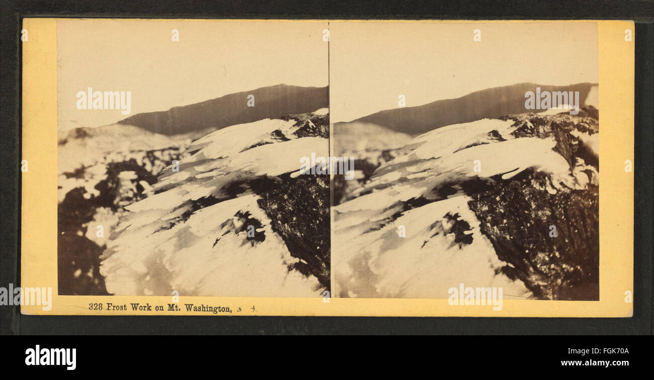 This photograph by Bierstadt Brothers depicts frost work on Mount ...