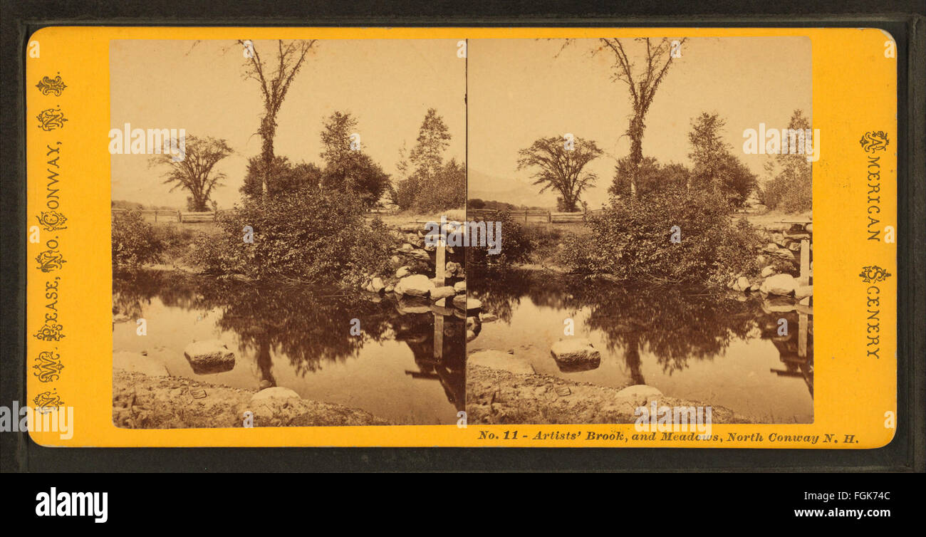 A photograph by Nathan W. Pease showing Artist's Brook and the ...