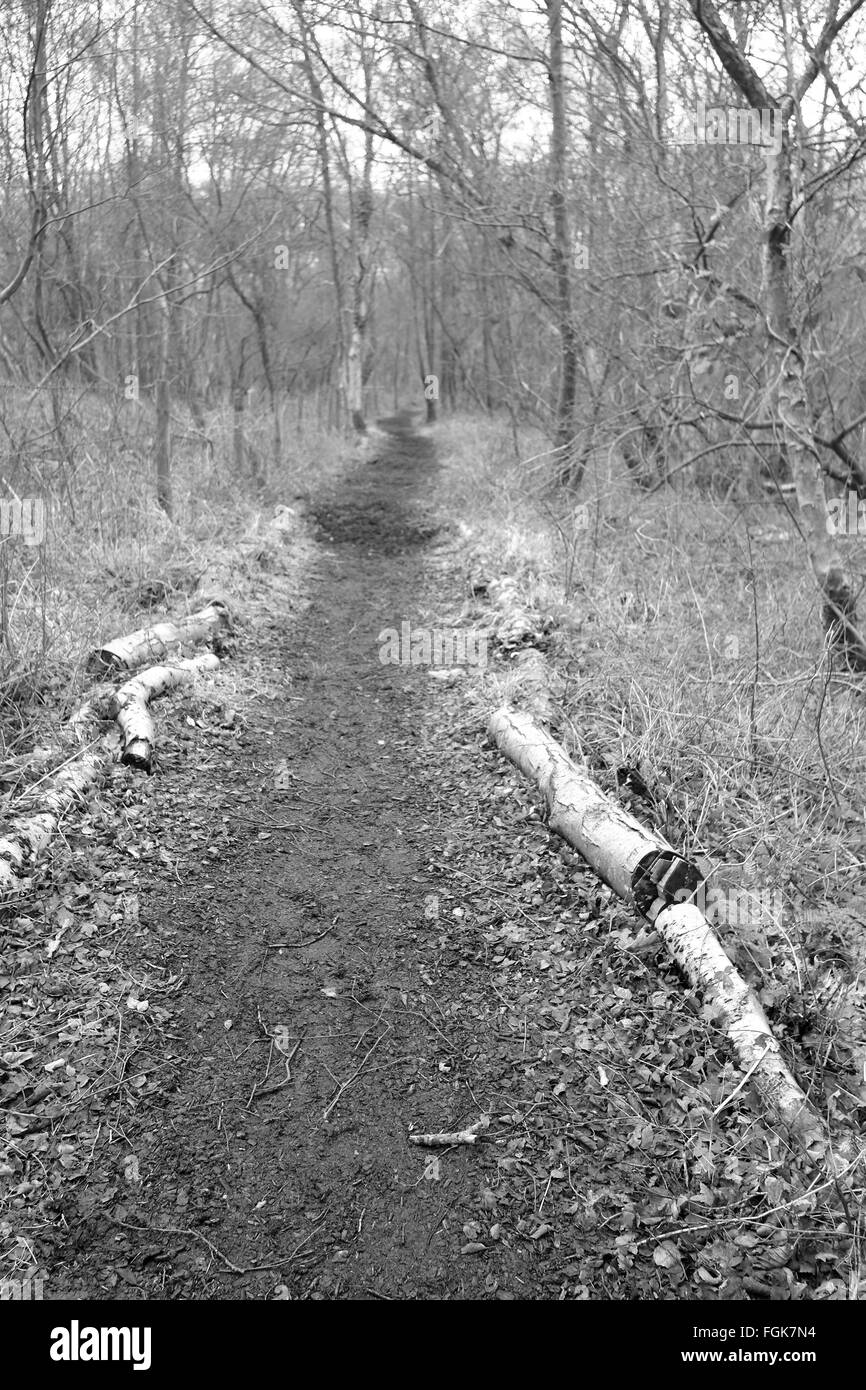 Worn path not footpath Black and White Stock Photos & Images - Alamy