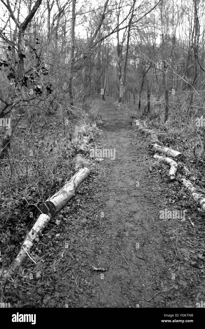 Worn path not footpath Black and White Stock Photos & Images - Alamy