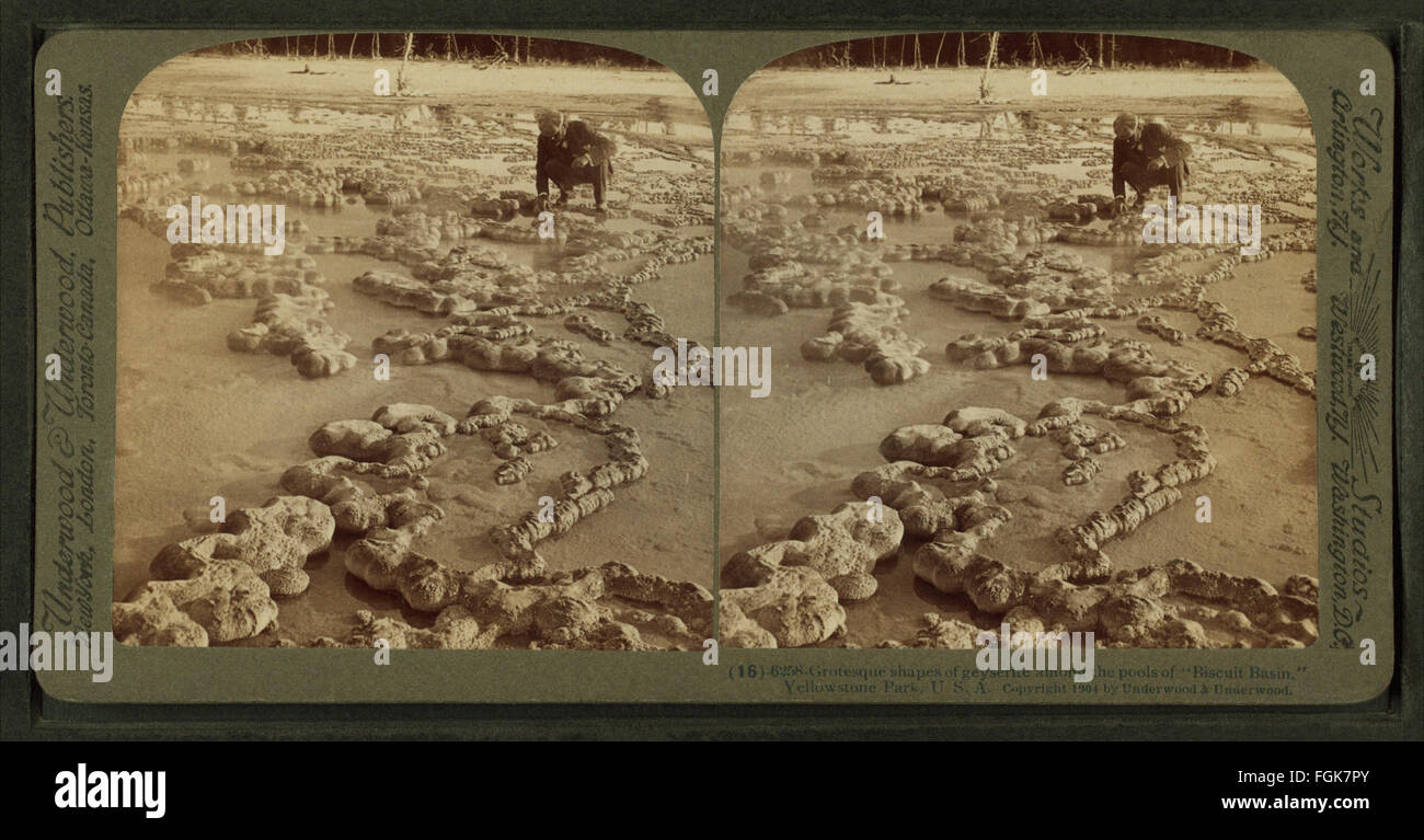 A photograph of unusual geological formations in the pools of Biscuit ...
