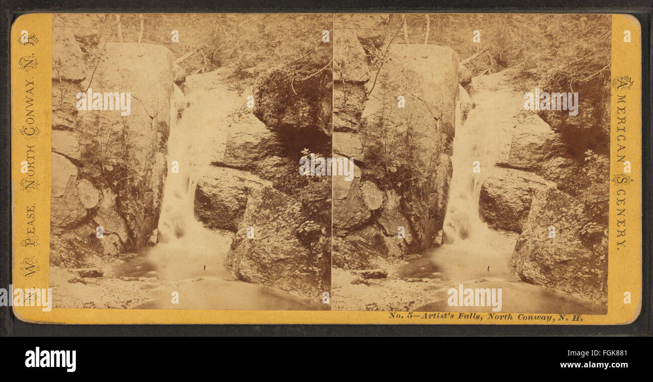 Nathan W. Pease's photograph 'Artist's Falls' captures the serene ...