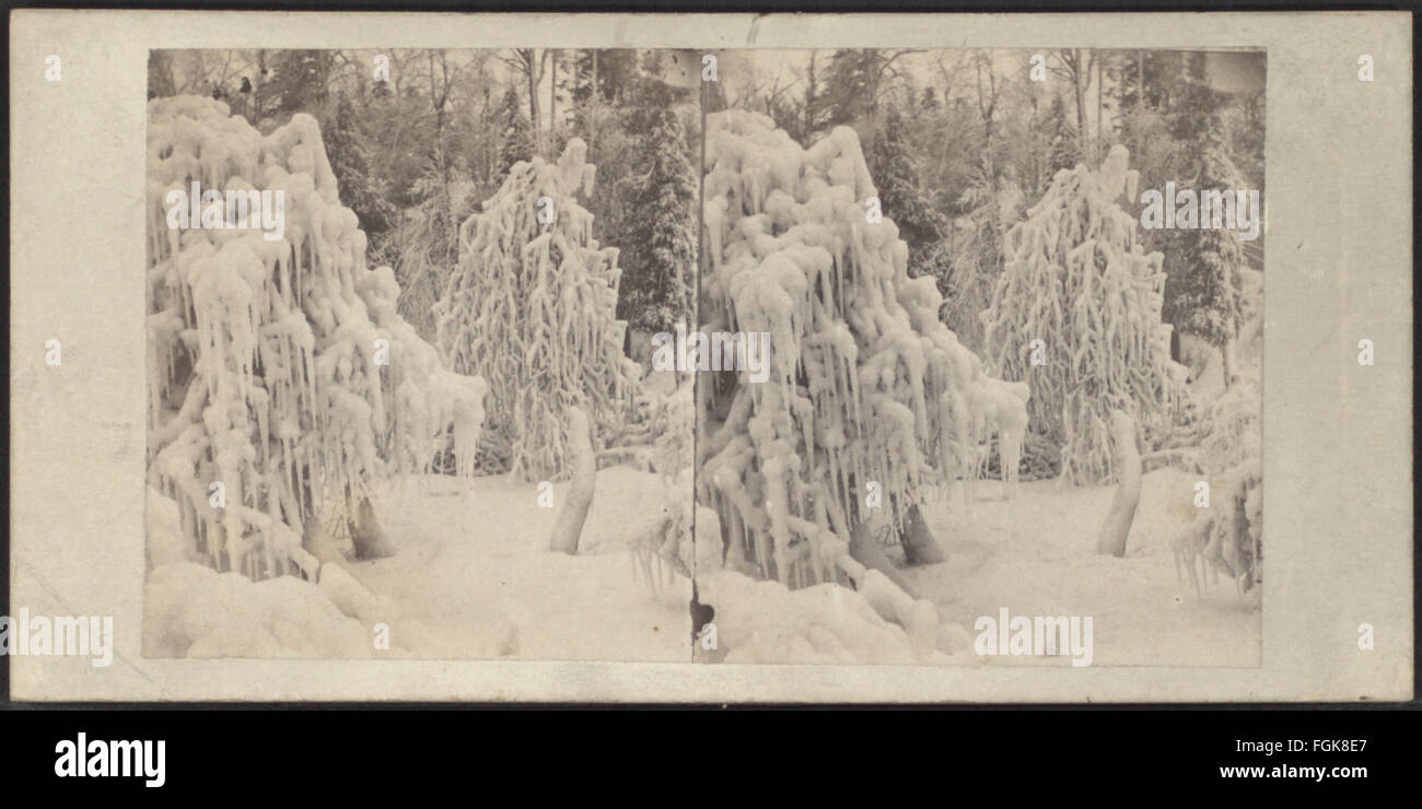 This historic photograph captures the striking image of an ice-covered ...