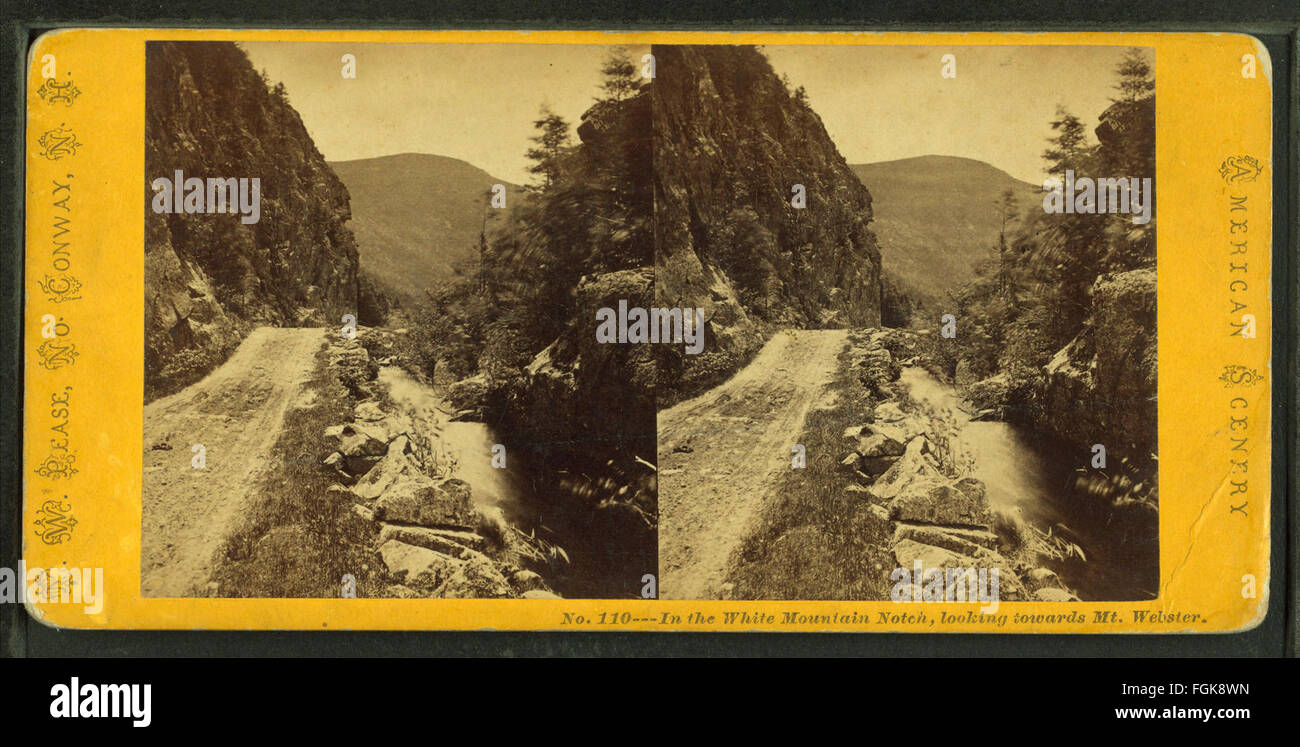 A photograph taken by Nathan W. Pease showing a view from the White ...