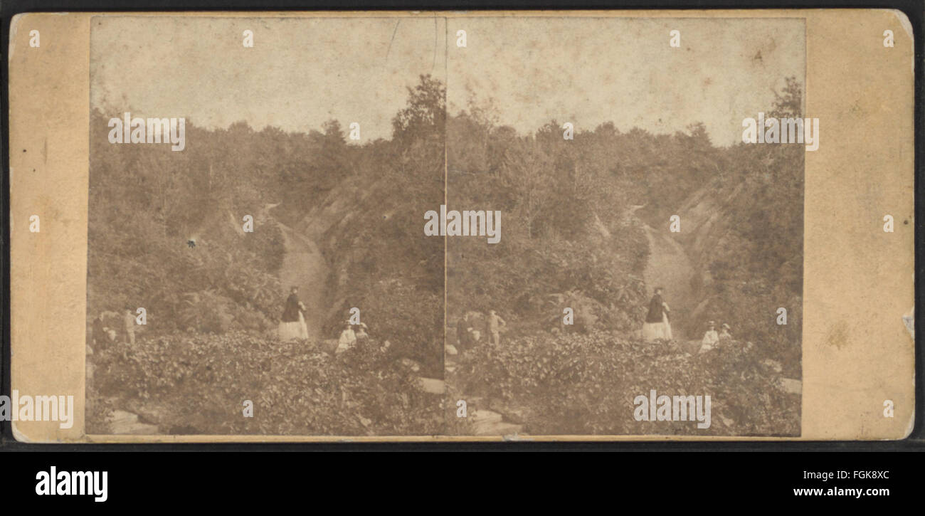 This photograph by George Stacy shows a view of the Ramble, approaching ...