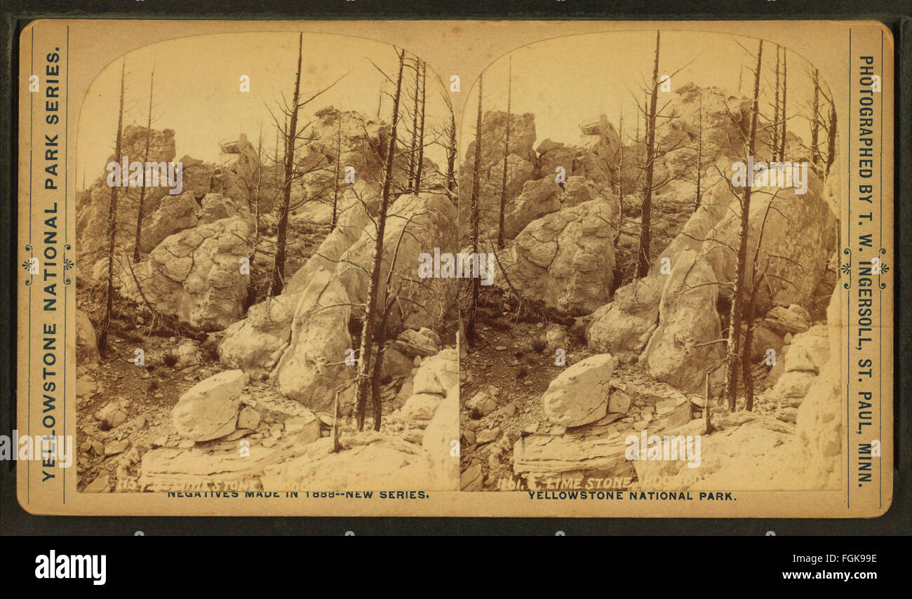 Photograph of limestone hoodoos taken by Truman Ward Ingersoll ...