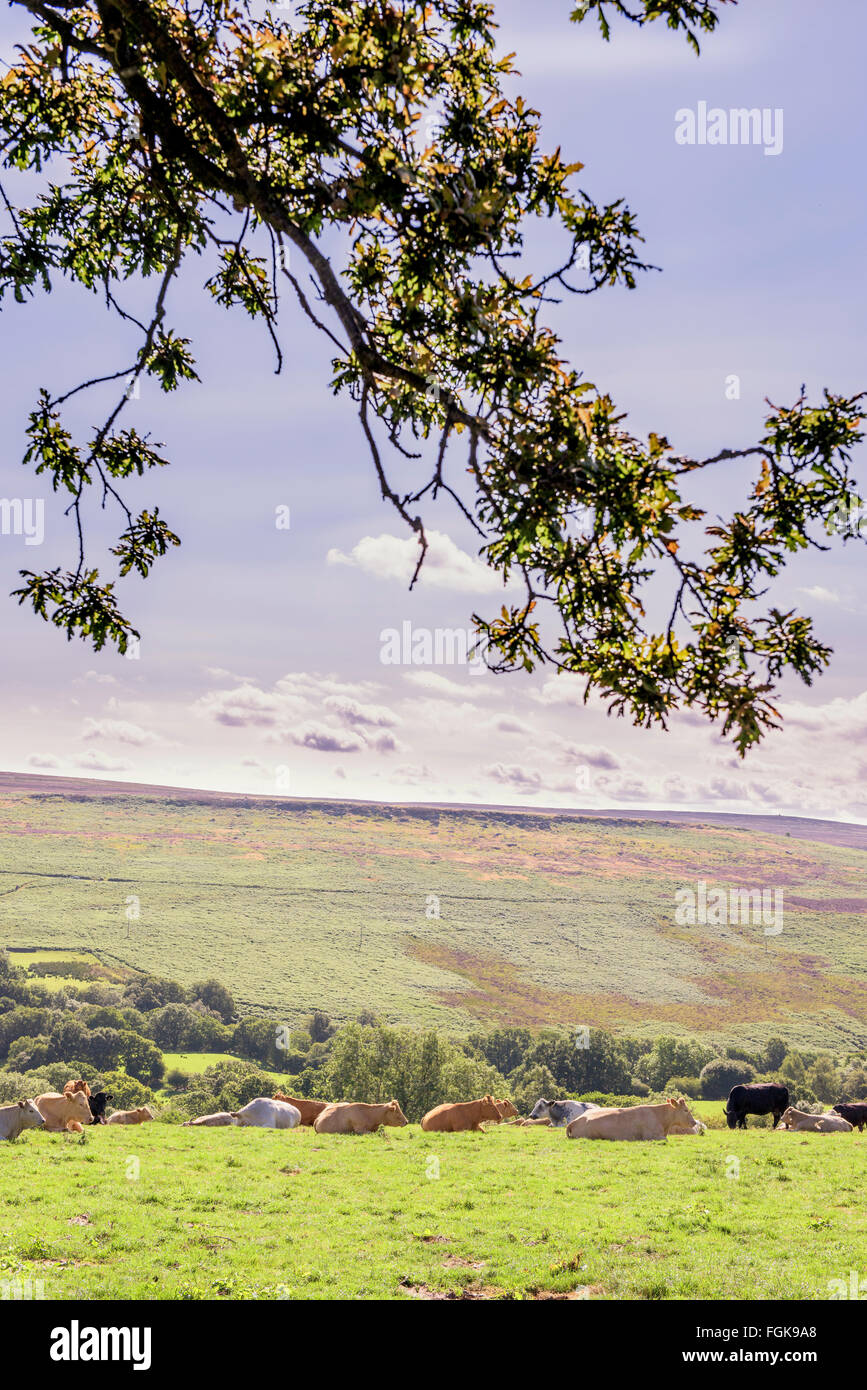 Landscape of the chain of the moors hi-res stock photography and images ...