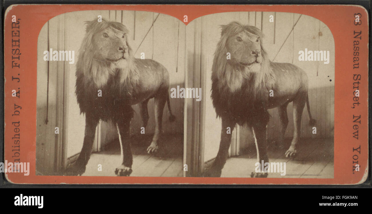 A photograph depicting the iconic lion sculpture in Central Park, New ...