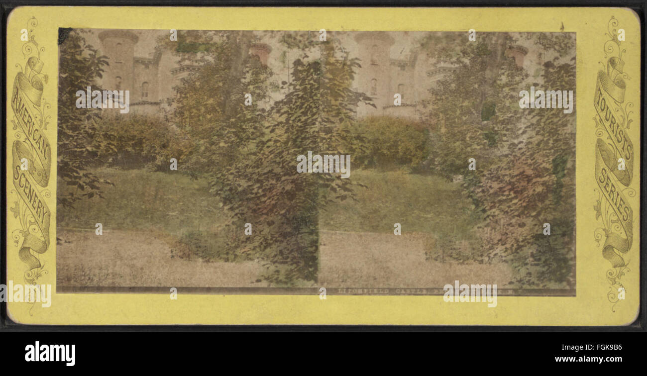 A stereoscopic view of Litchfield Castle in Prospect Park, New York ...