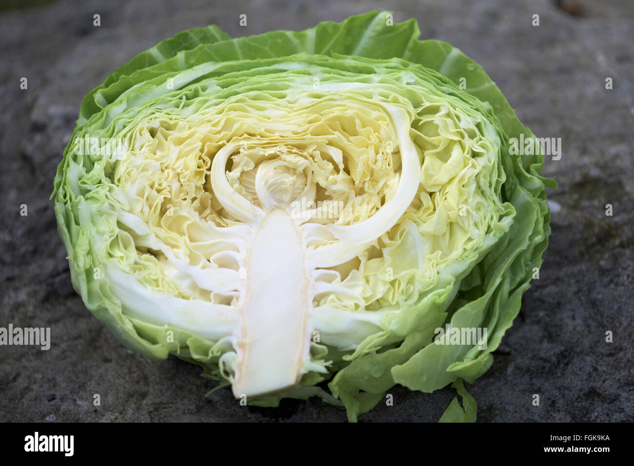 Cabbage cut in half Stock Photo - Alamy