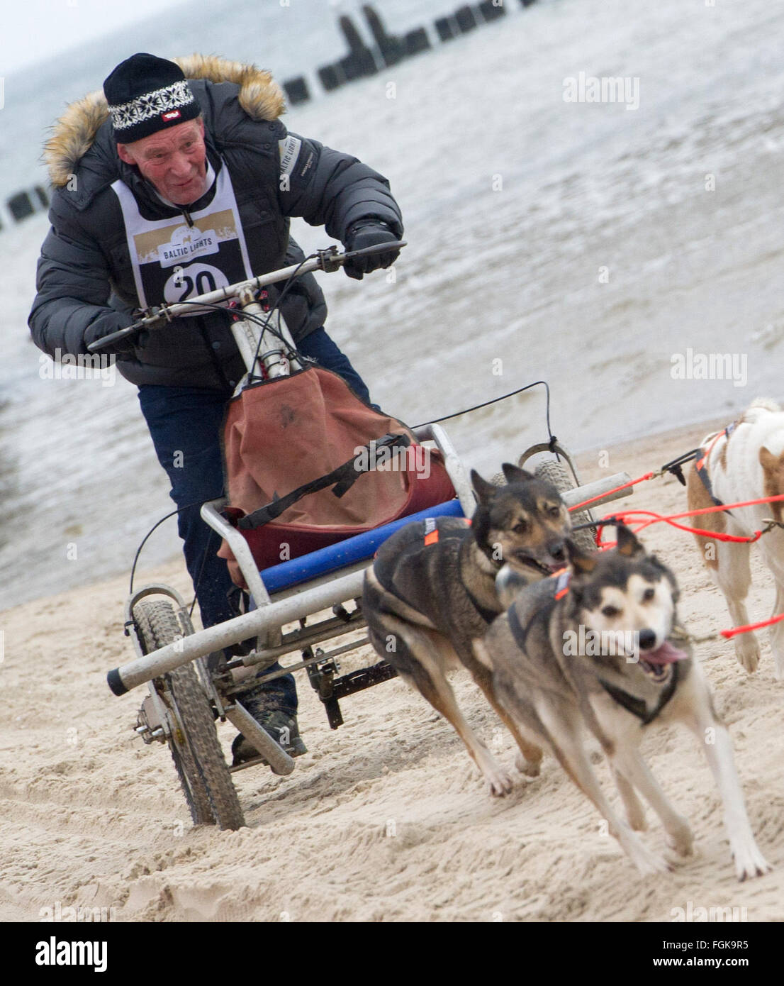 Usedom island, Germany. 20th February, 2016. Actor Michael Mendl in ...
