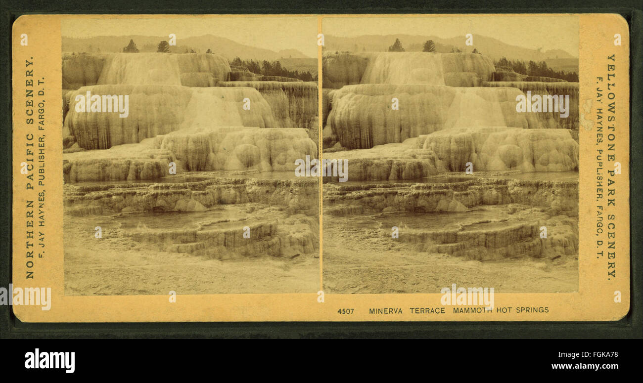 A photograph by F. Jay Haynes showing Minerva Terrace at Mammoth Hot ...