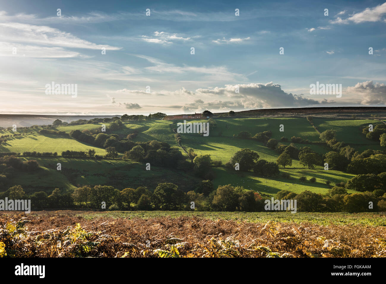 View looking towards Wheeldale Roman Road, the road which can still be ...