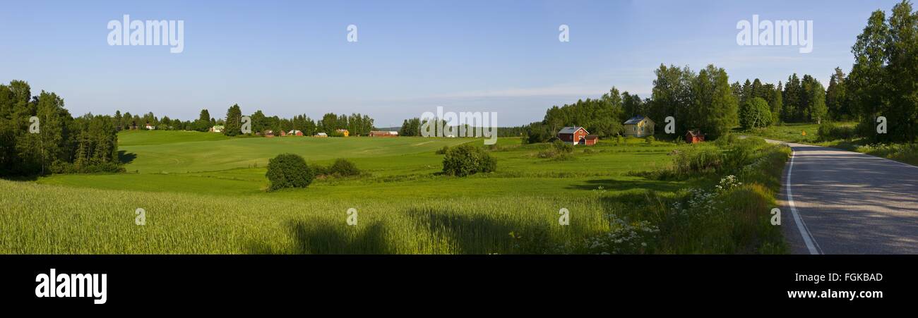 The field in the Finnish countryside Stock Photo - Alamy